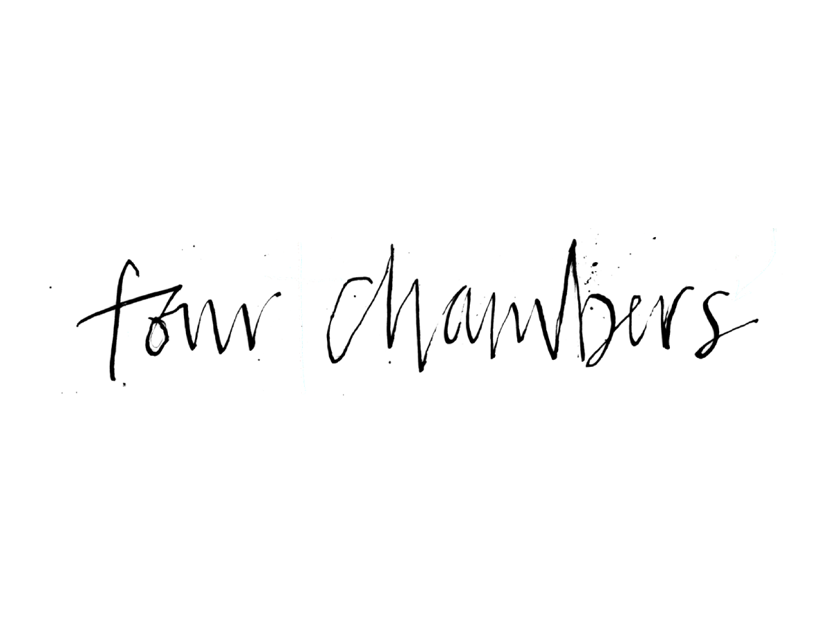 Four Chambered Heart Wonder And Wellness